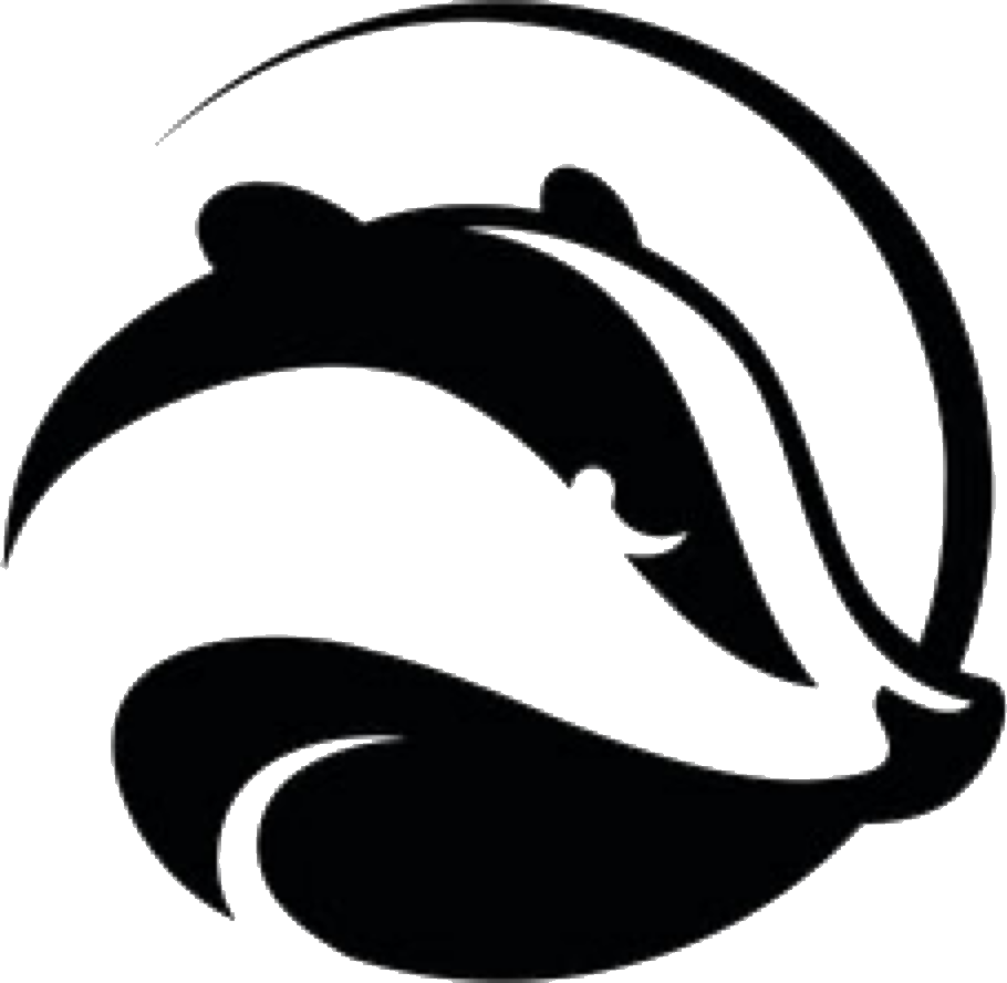 Hiking log: Mount Cleveland. - Badger Scouts